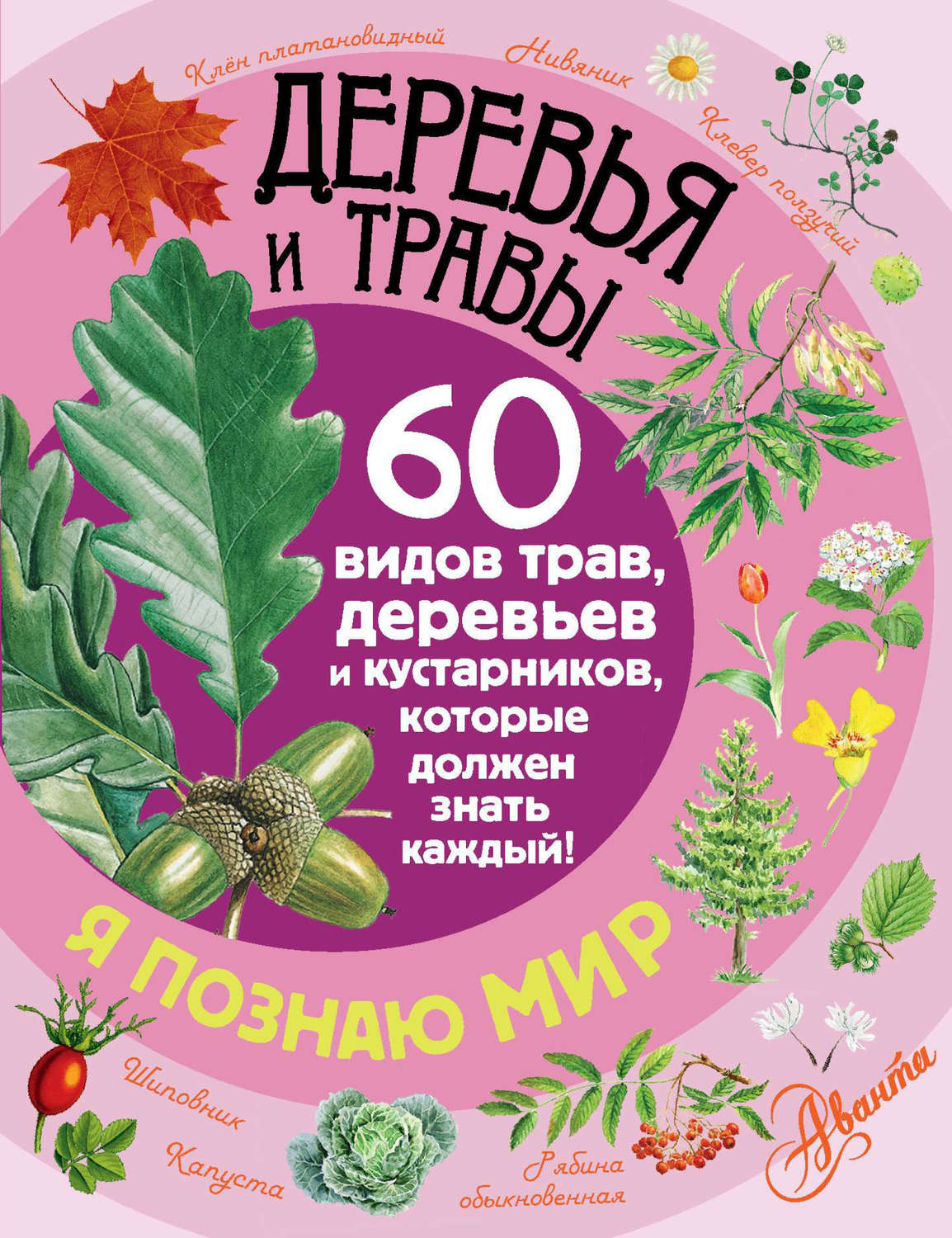 «Деревья и травы. 60 видов трав, деревьев и кустарников, которые должен ...